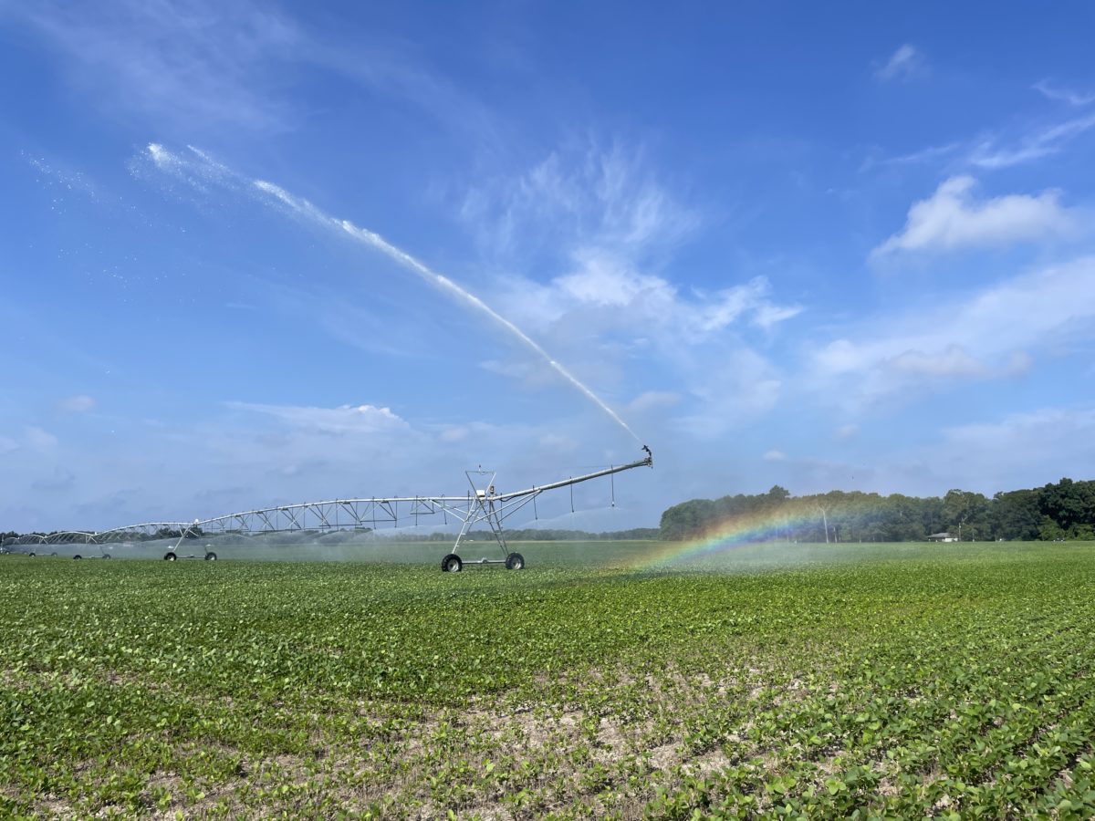 Mountaire Wastewater Upgrade Completed on Time - Mountaire Farms ...